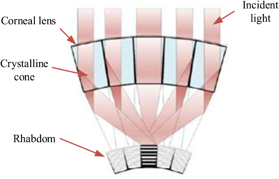 Review of state-of-the-art artificial compound eye imaging systems ...