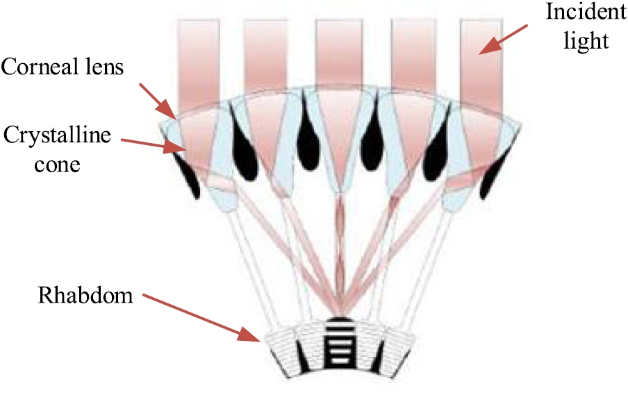 Review of state-of-the-art artificial compound eye imaging systems ...