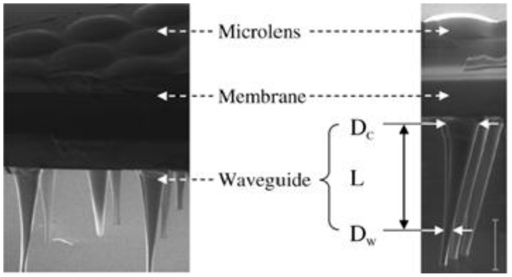 Review of state-of-the-art artificial compound eye imaging systems ...