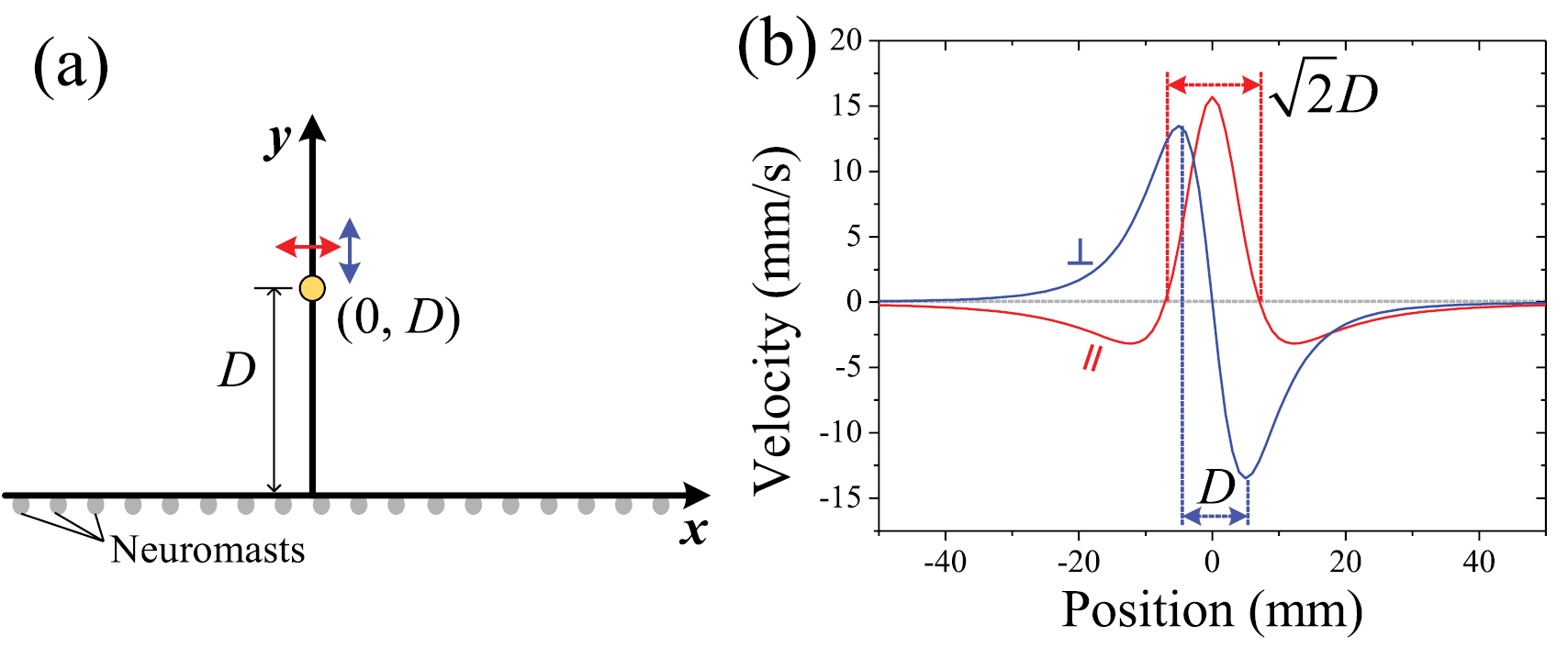 Flow field perception based on the fish lateral line system - IOPscience