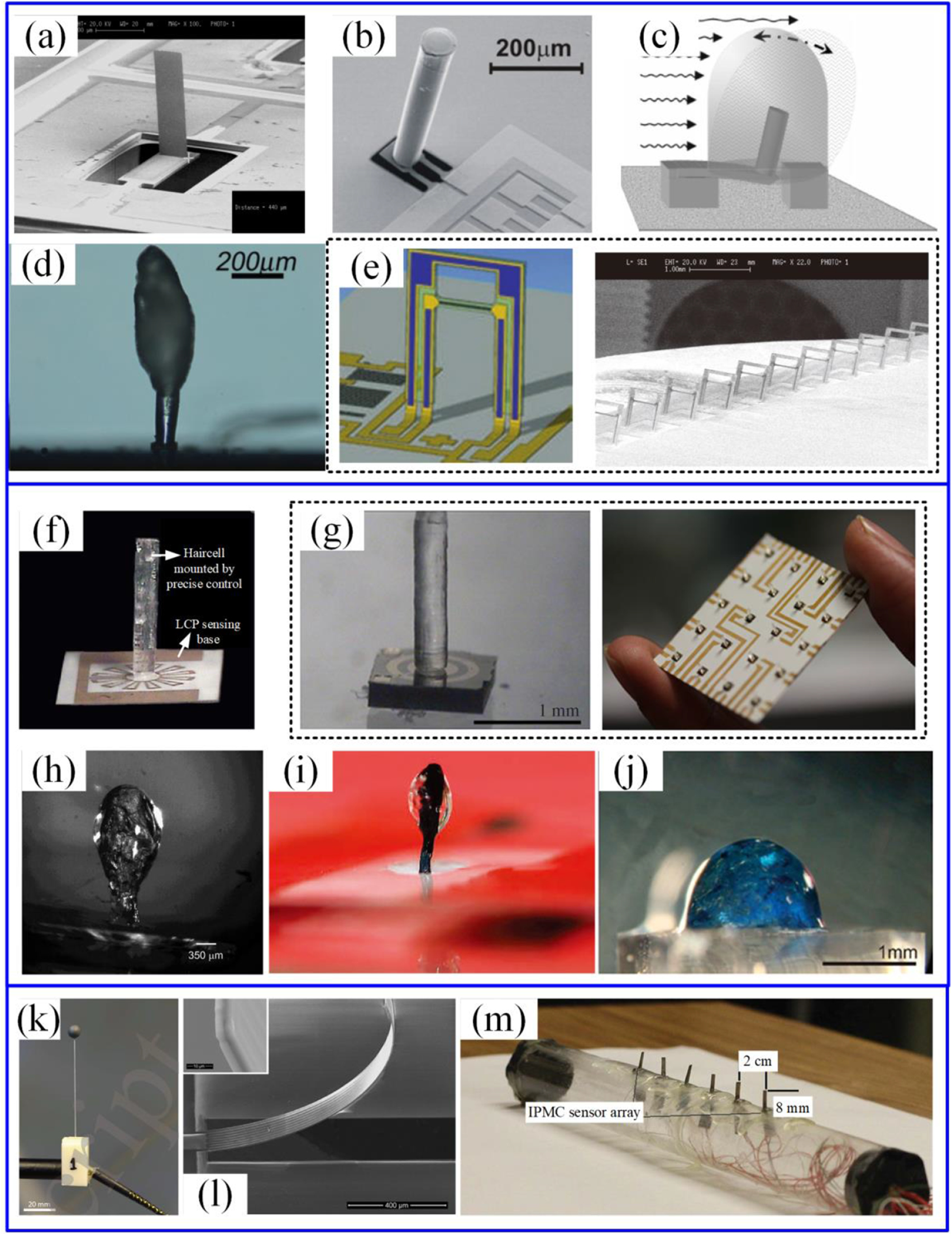 Flow field perception based on the fish lateral line system - IOPscience