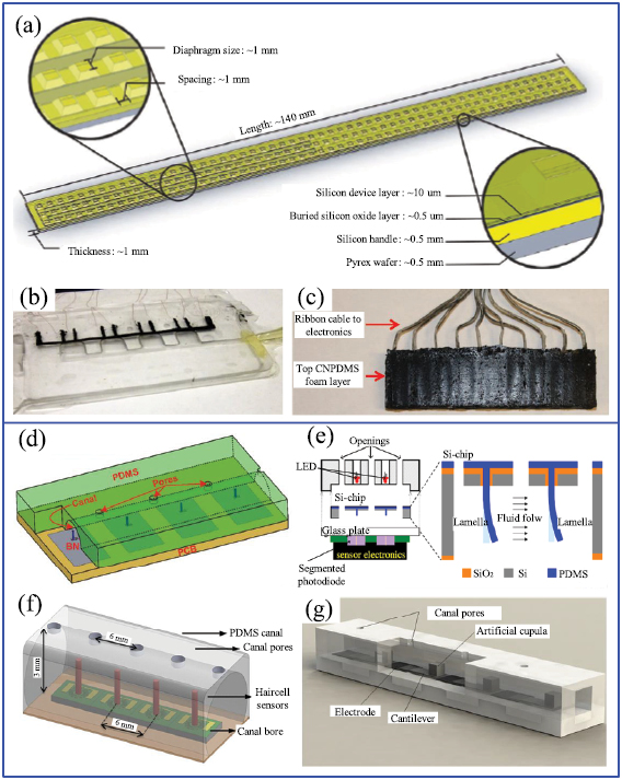 Flow field perception based on the fish lateral line system - IOPscience