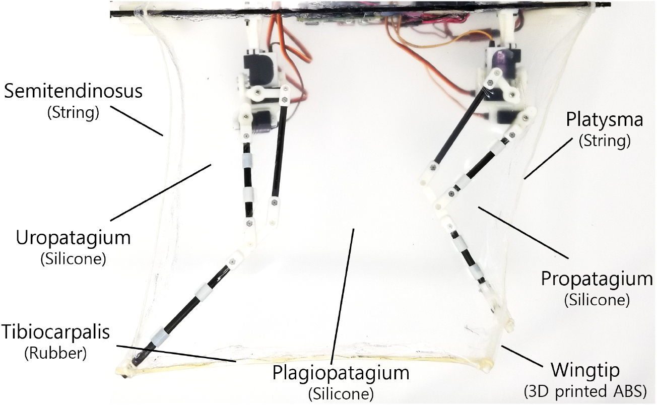 Development and experiments of a bio-inspired robot with multi-mode in ...