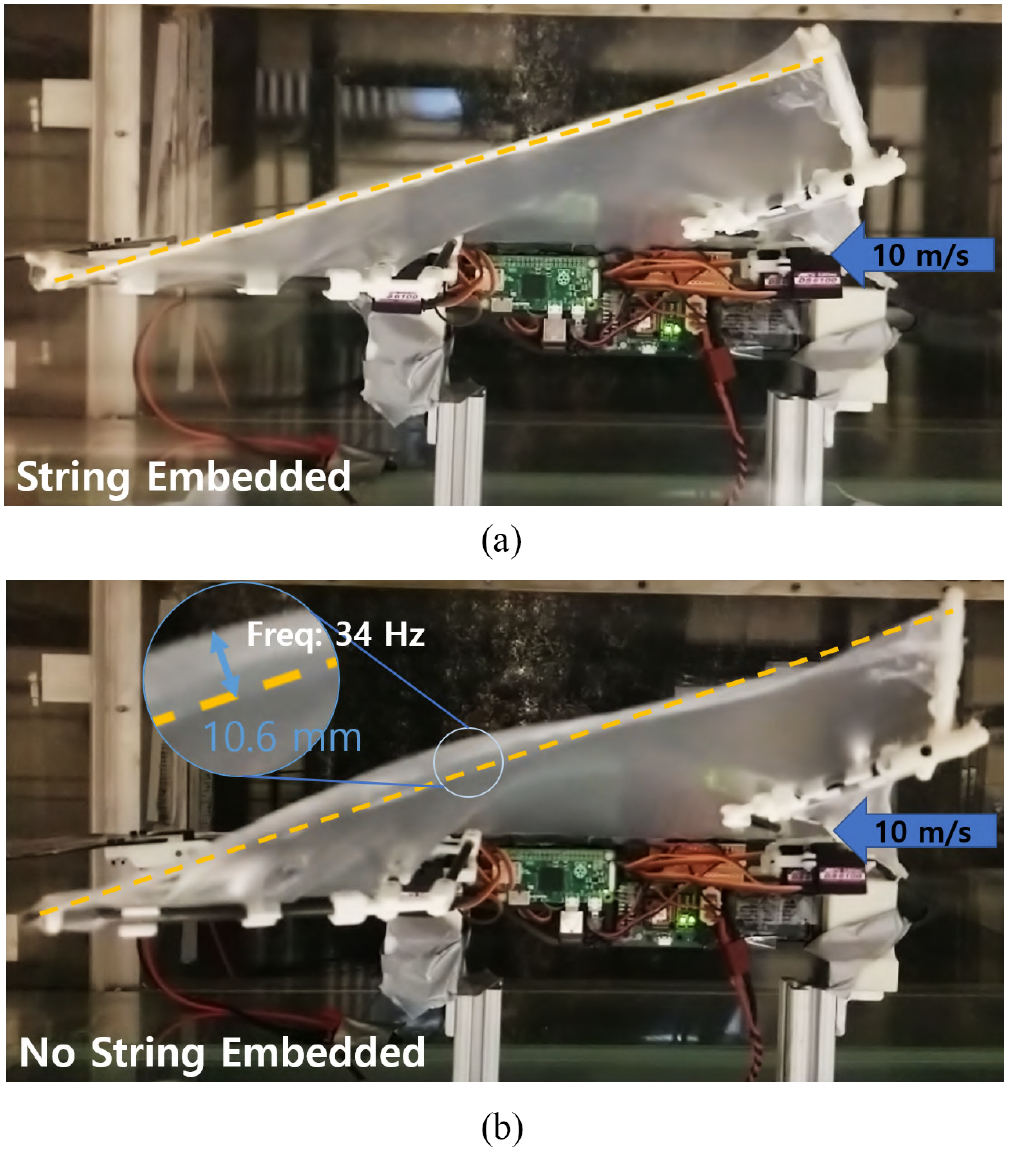 Development and experiments of a bio-inspired robot with multi-mode in ...