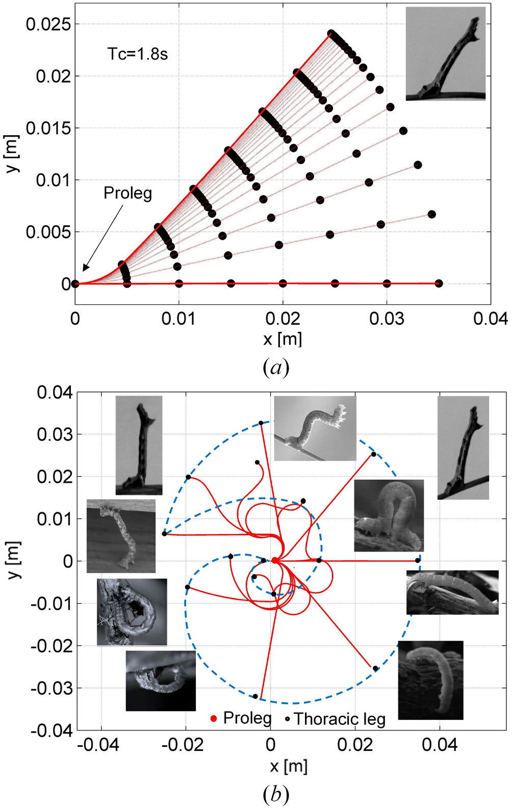 Dynamic modeling and simulation of inchworm movement towards bio ...