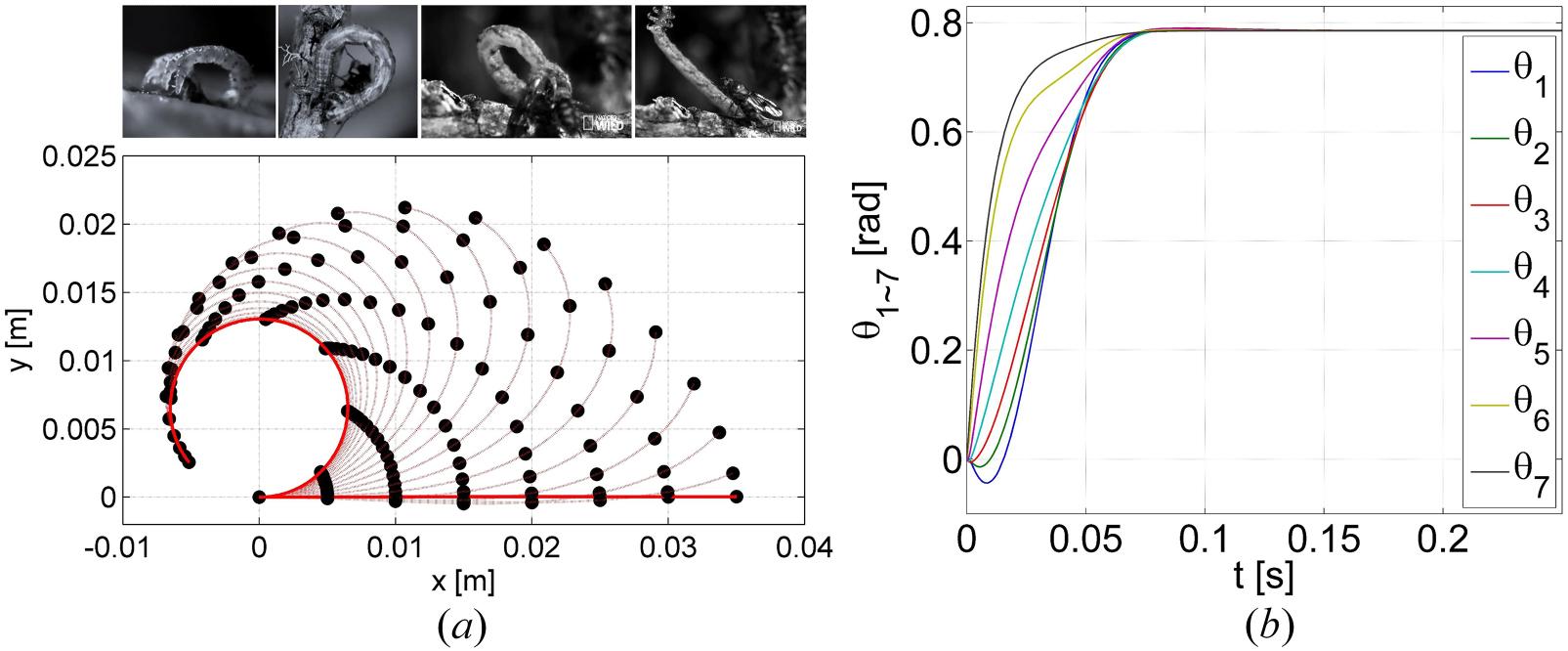 Dynamic modeling and simulation of inchworm movement towards bio ...