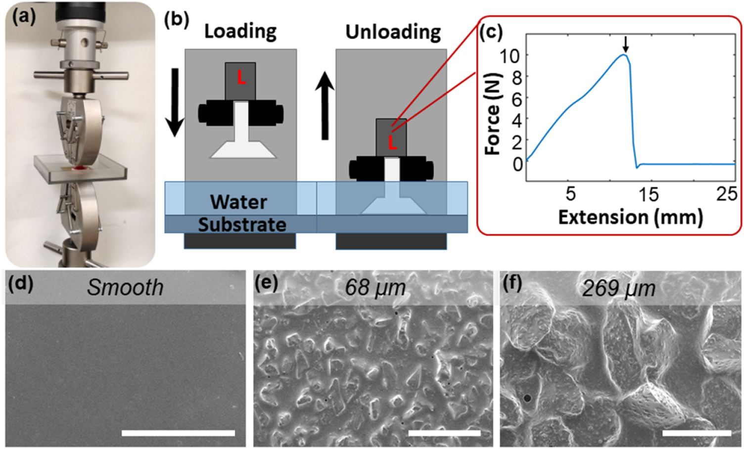 Reversible adhesion to rough surfaces both in and out of water ...