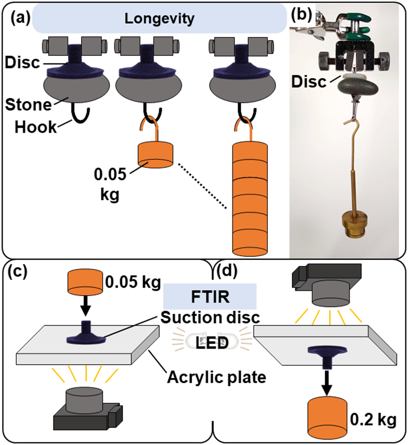 Reversible adhesion to rough surfaces both in and out of water ...