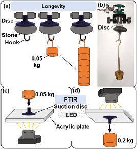 Reversible adhesion to rough surfaces both in and out of water ...