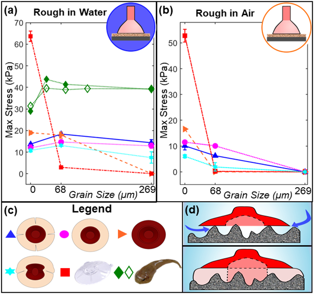 Reversible adhesion to rough surfaces both in and out of water ...