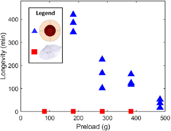 Reversible adhesion to rough surfaces both in and out of water ...