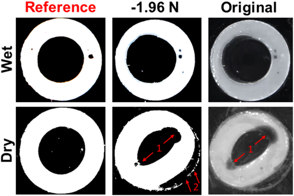 Reversible adhesion to rough surfaces both in and out of water ...