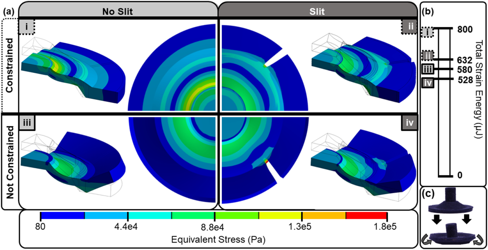 Reversible adhesion to rough surfaces both in and out of water ...