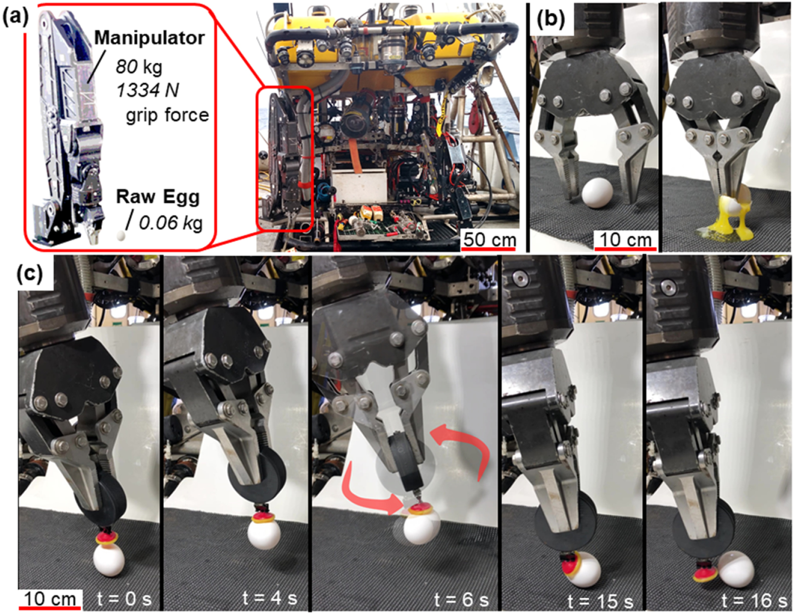 Reversible adhesion to rough surfaces both in and out of water ...
