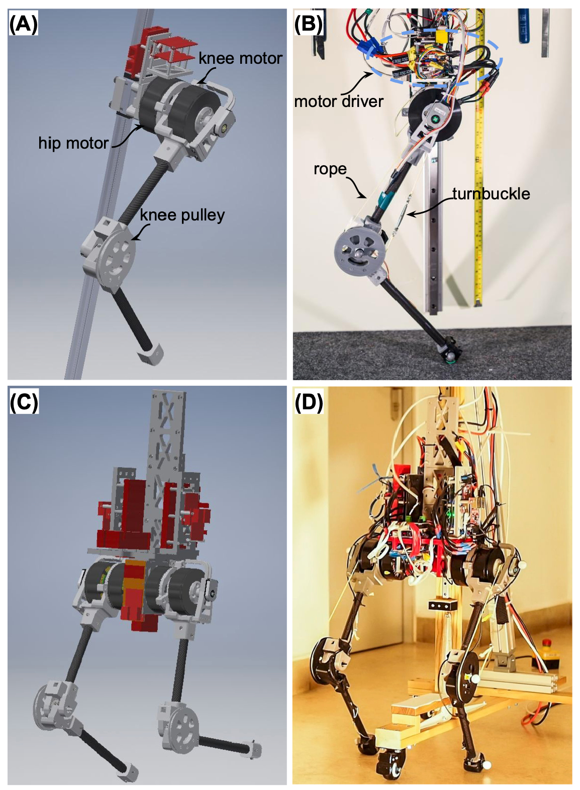 Bio-inspired neuromuscular reflex based hopping controller for a ...
