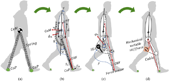 A biarticular passive exosuit to support balance control can reduce ...