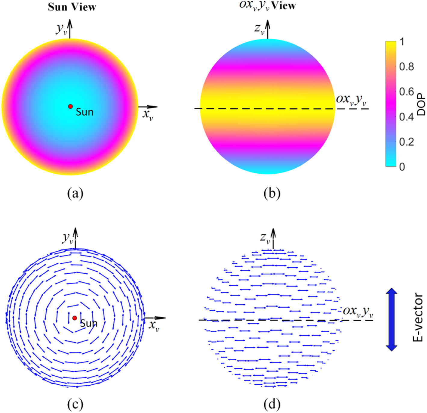 Limitation of Rayleigh sky model for bioinspired polarized skylight ...