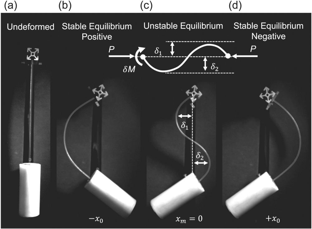 A bio-inspired robotic fish utilizes the snap-through buckling of its ...