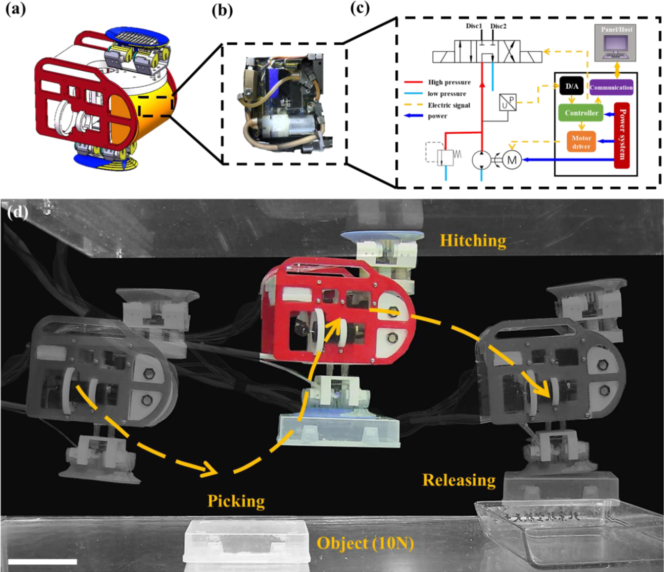Detachment of the remora suckerfish disc: kinematics and a bio-inspired ...