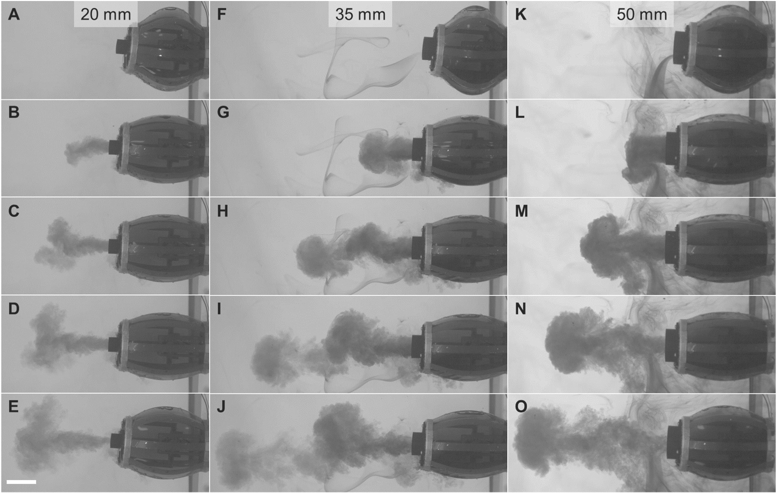 Cephalopod-inspired robot capable of cyclic jet propulsion through ...