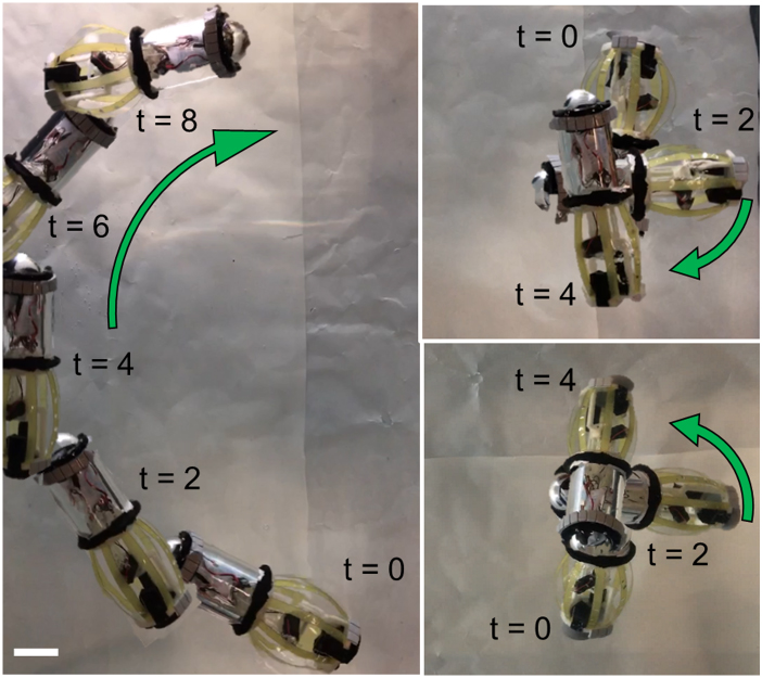Cephalopod-inspired robot capable of cyclic jet propulsion through ...