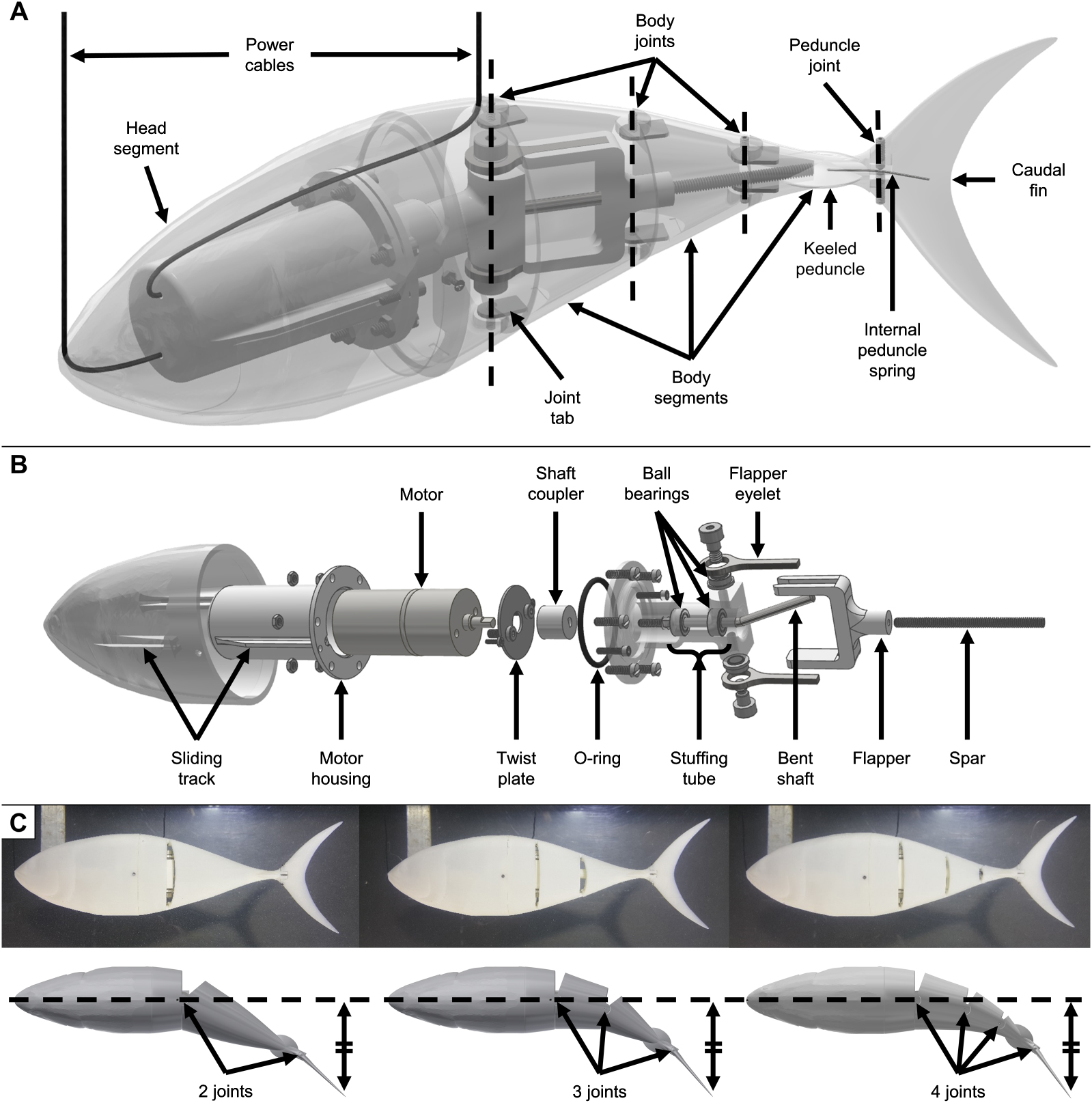 Tunabot Flex: a tuna-inspired robot with body flexibility improves high ...