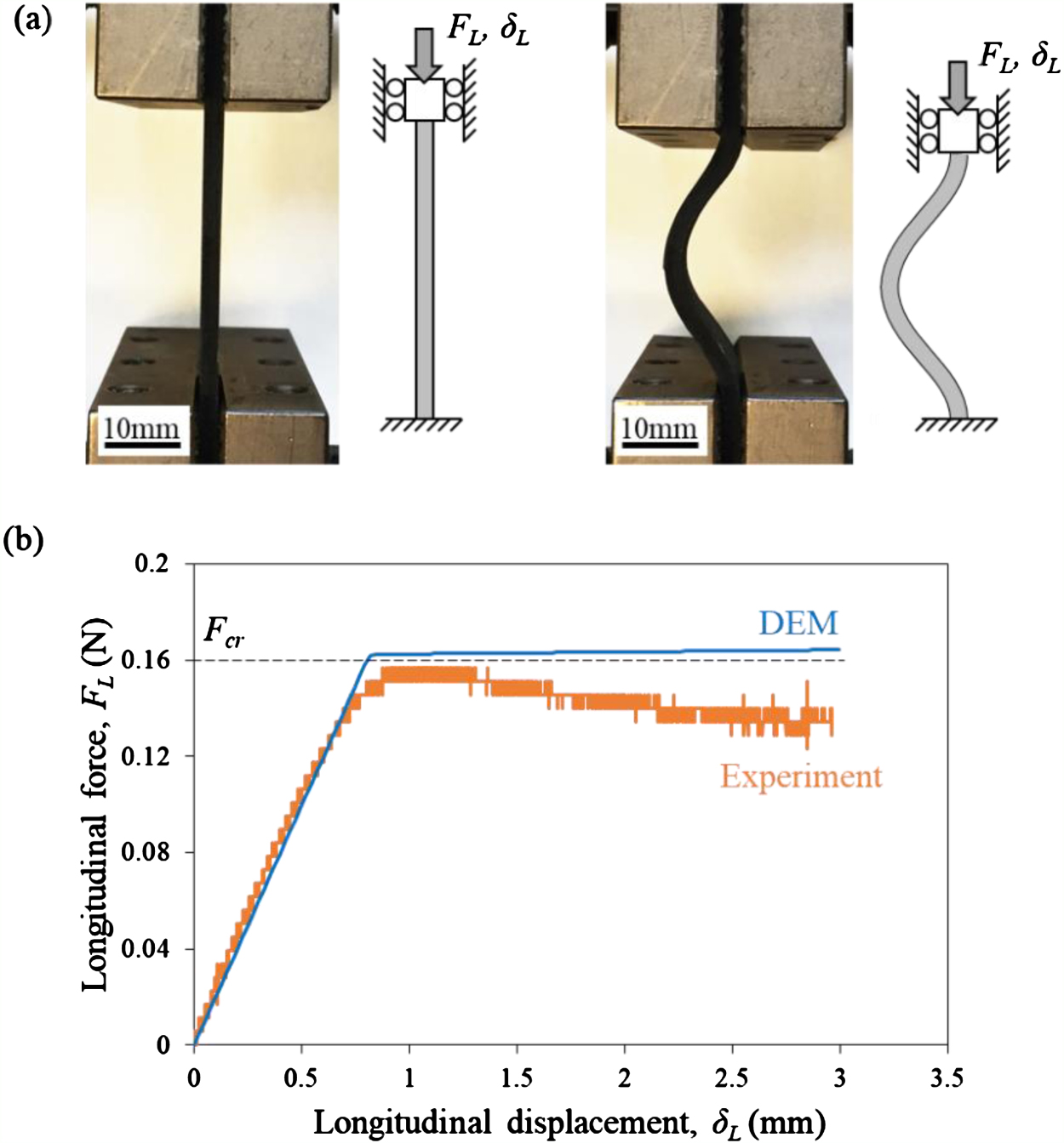 Bioinspired buckling of scaled skins - IOPscience