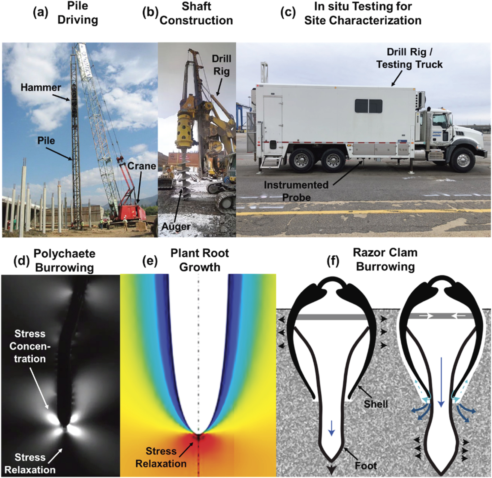 Modeling the self-penetration process of a bio-inspired probe in ...