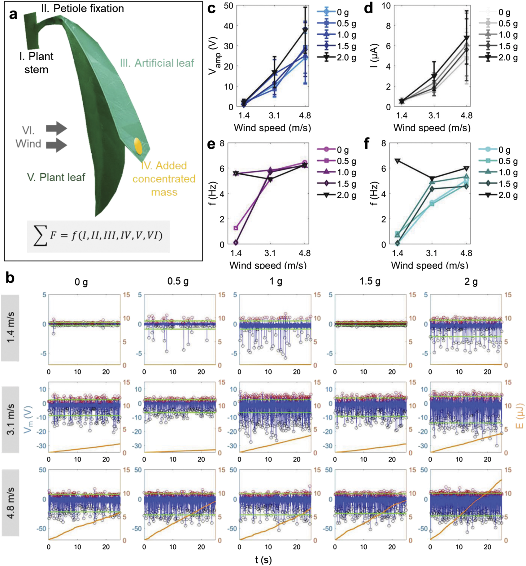 Biohybrid generators based on living plants and artificial leaves ...