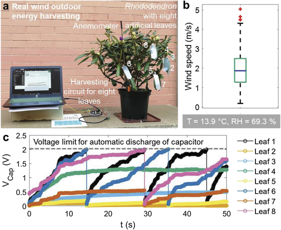 Biohybrid generators based on living plants and artificial leaves ...