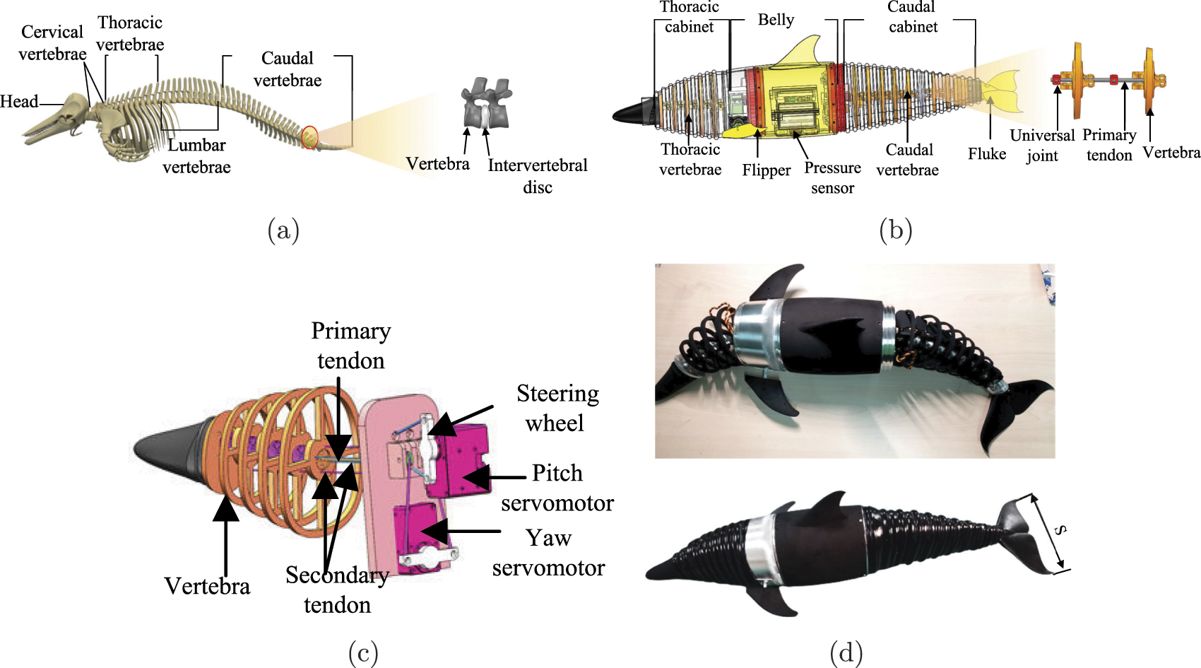 Design and analysis of a novel tendon-driven continuum robotic dolphin ...