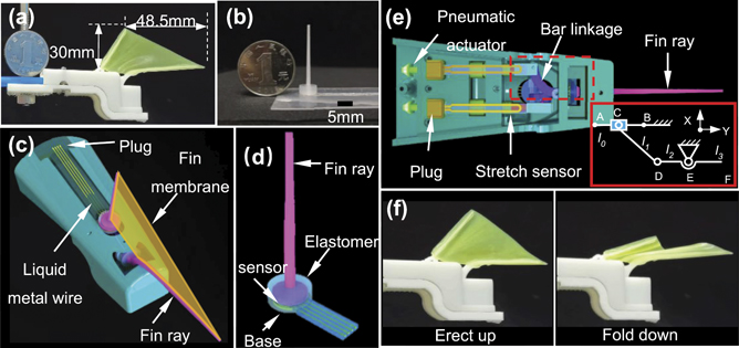 A biomimetic fish finlet with a liquid metal soft sensor for ...