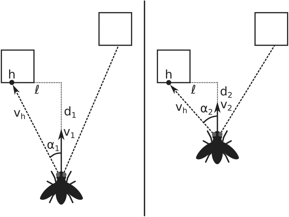 Insect inspired vision-based velocity estimation through spatial ...