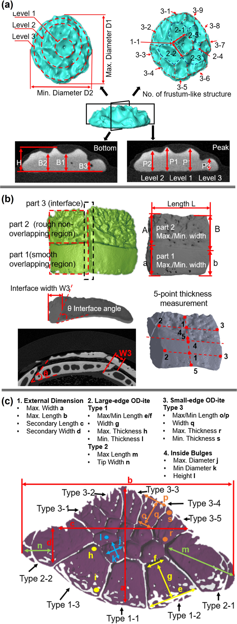 Lizard osteoderms – Morphological characterisation, biomimetic design ...