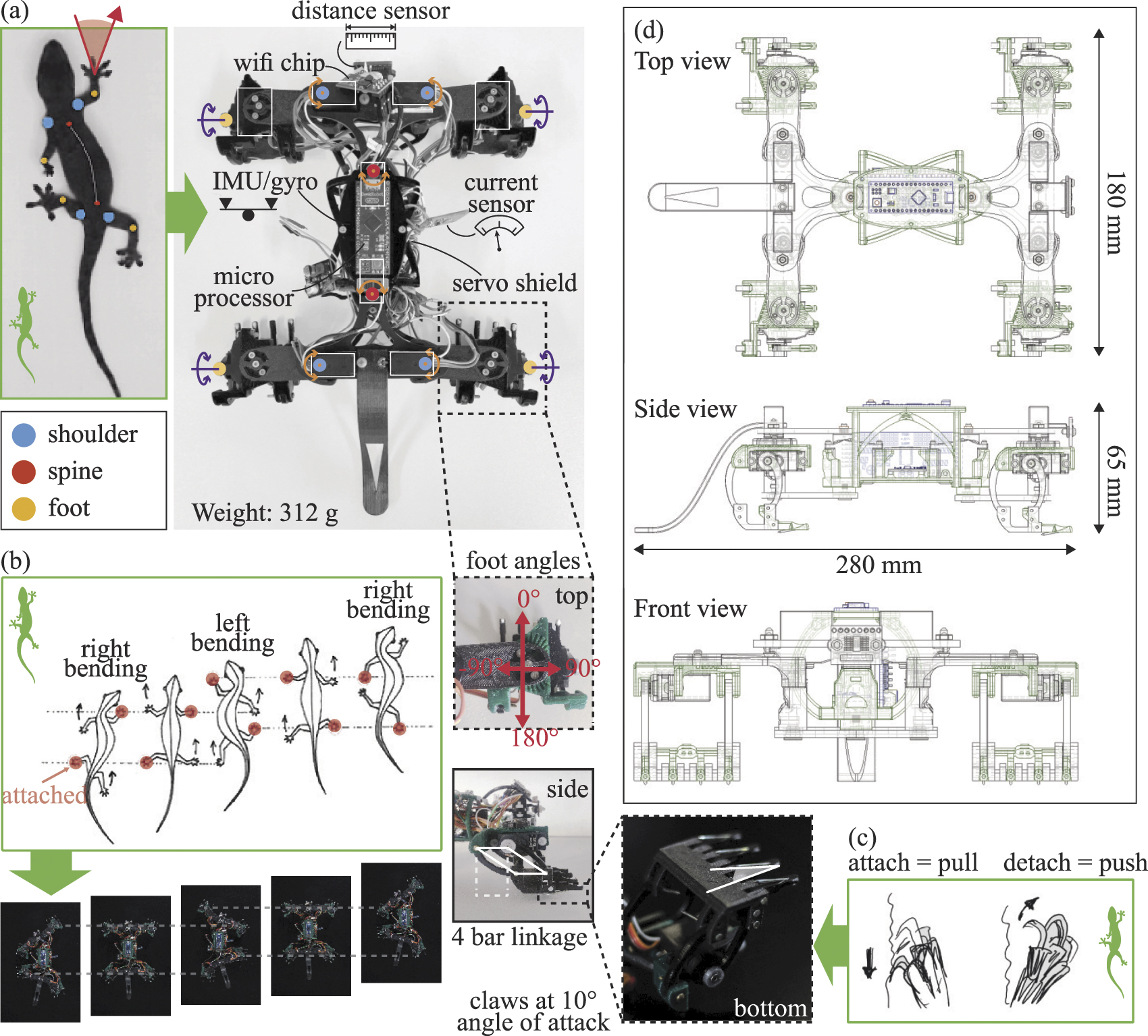 A bio-inspired robotic climbing robot to understand kinematic and ...