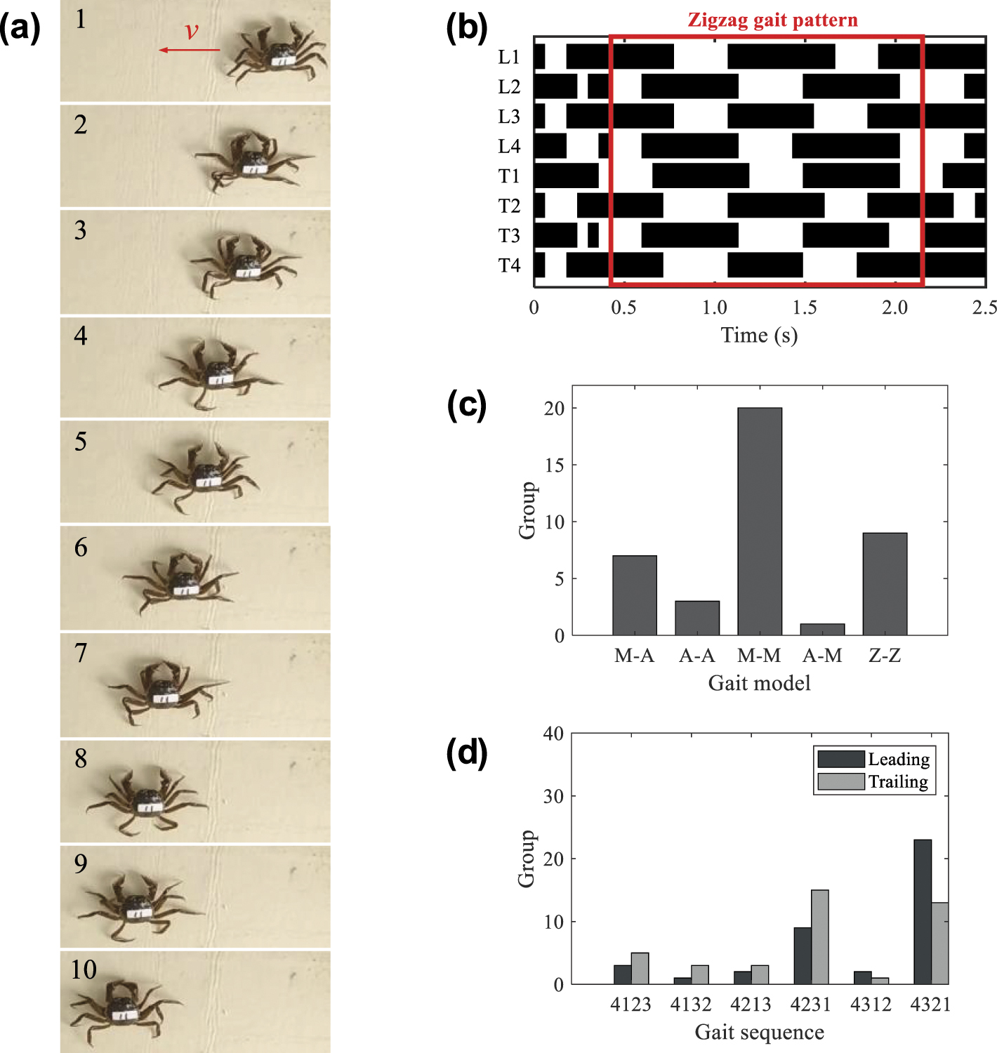 Crab-inspired compliant leg design method for adaptive locomotion of a ...