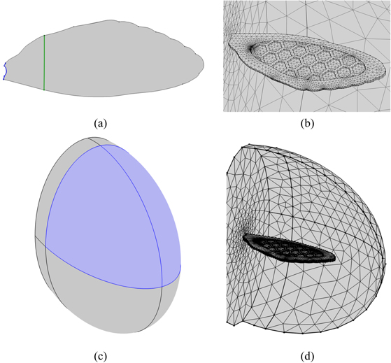 Fully-printed metamaterial-type flexible wings with controllable flight ...