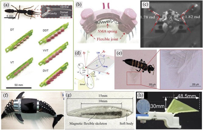 Editorial: Focus on research from China in Bioinspiration & Biomimetics ...