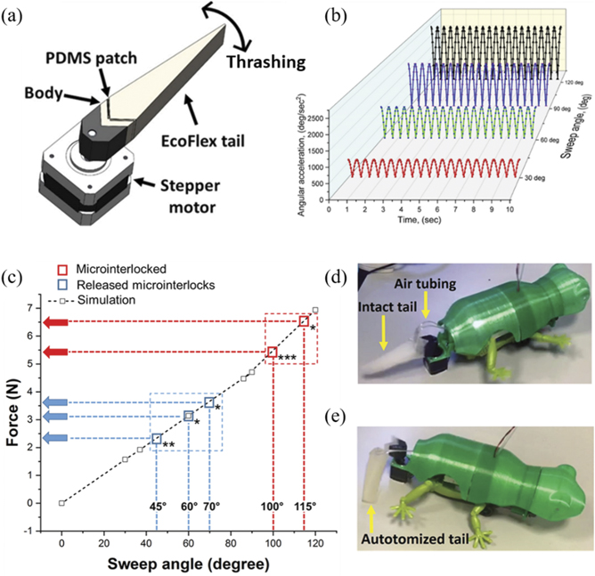 Biomimicking interfacial fracture behavior of lizard tail autotomy with ...