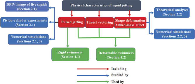 Physics and applications of squid-inspired jetting - IOPscience