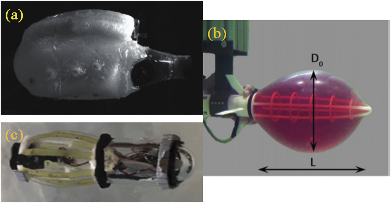 Physics and applications of squid-inspired jetting - IOPscience
