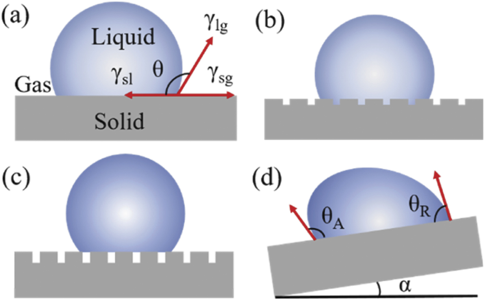 Adhesion behaviors of water droplets on bioinspired superhydrophobic ...