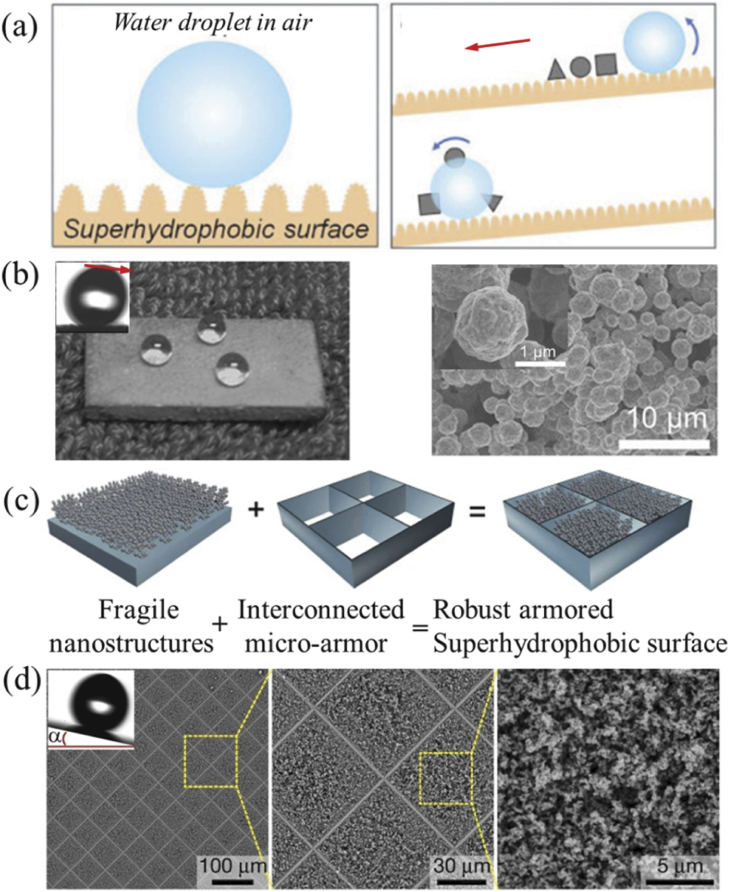 Adhesion behaviors of water droplets on bioinspired superhydrophobic ...