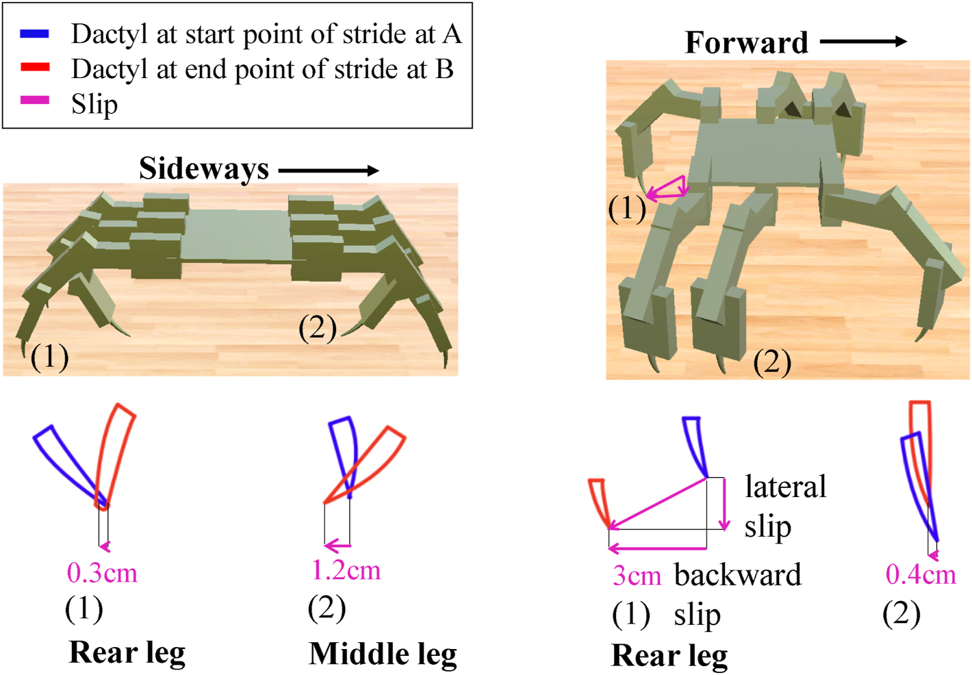 Sideways crab-walking is faster and more efficient than forward walking ...
