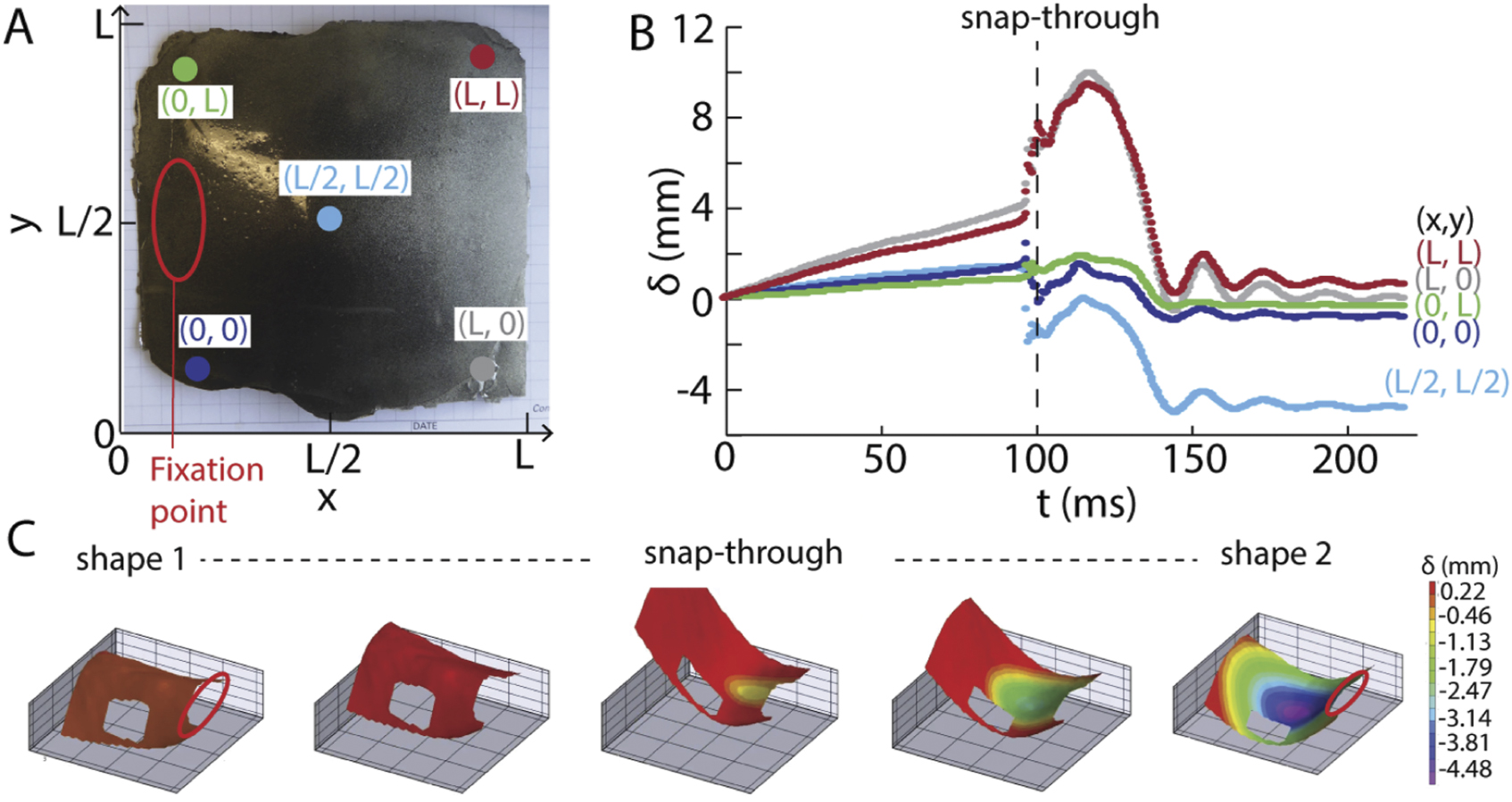 Plant-inspired multi-stimuli and multi-temporal morphing composites ...