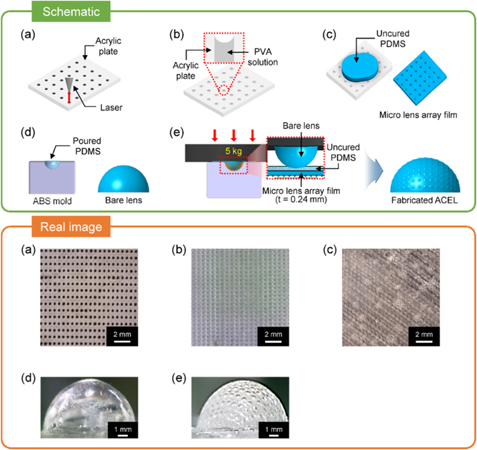 A biomimetic compound eye lens for photocurrent enhancement at low ...