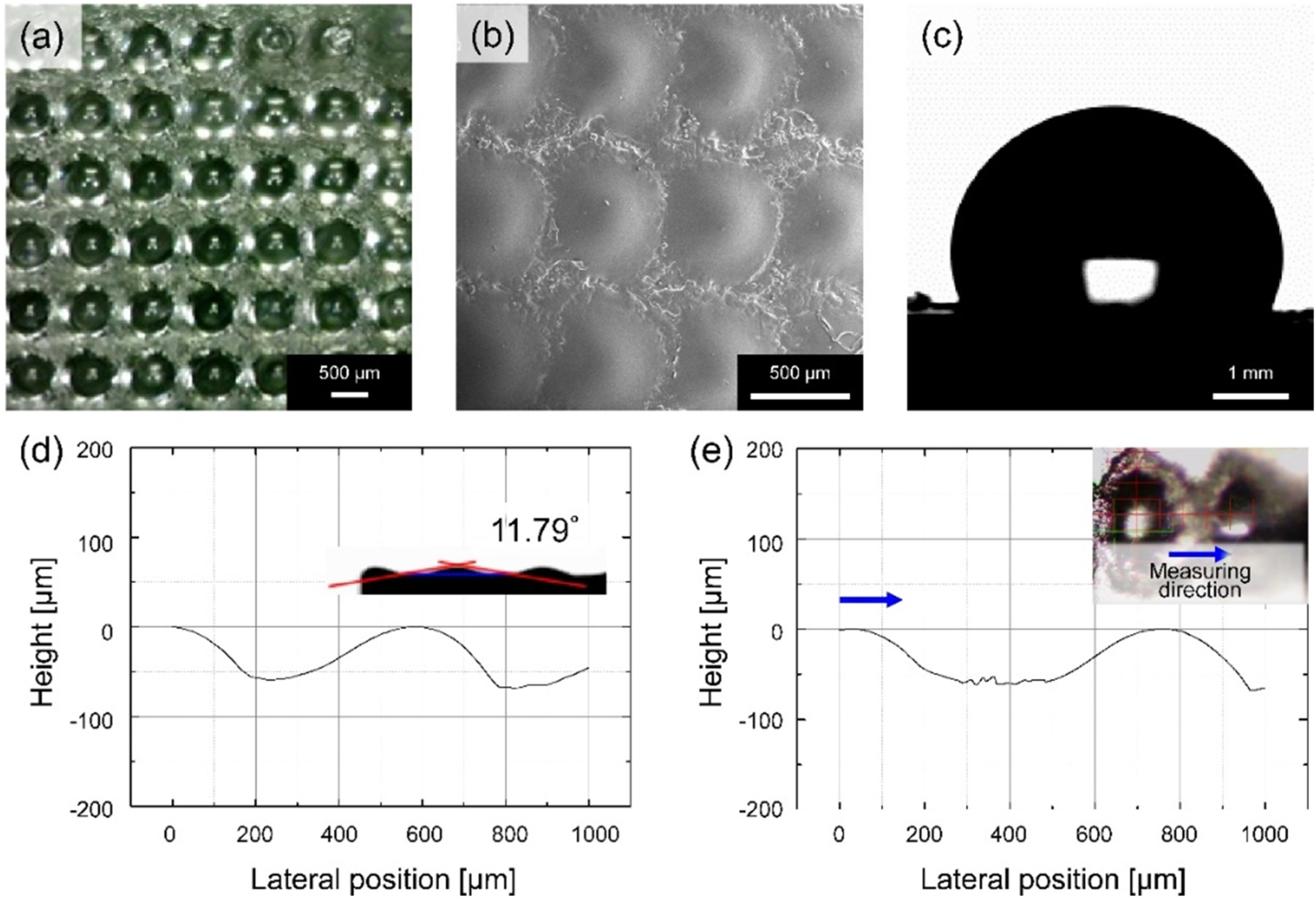 A biomimetic compound eye lens for photocurrent enhancement at low ...