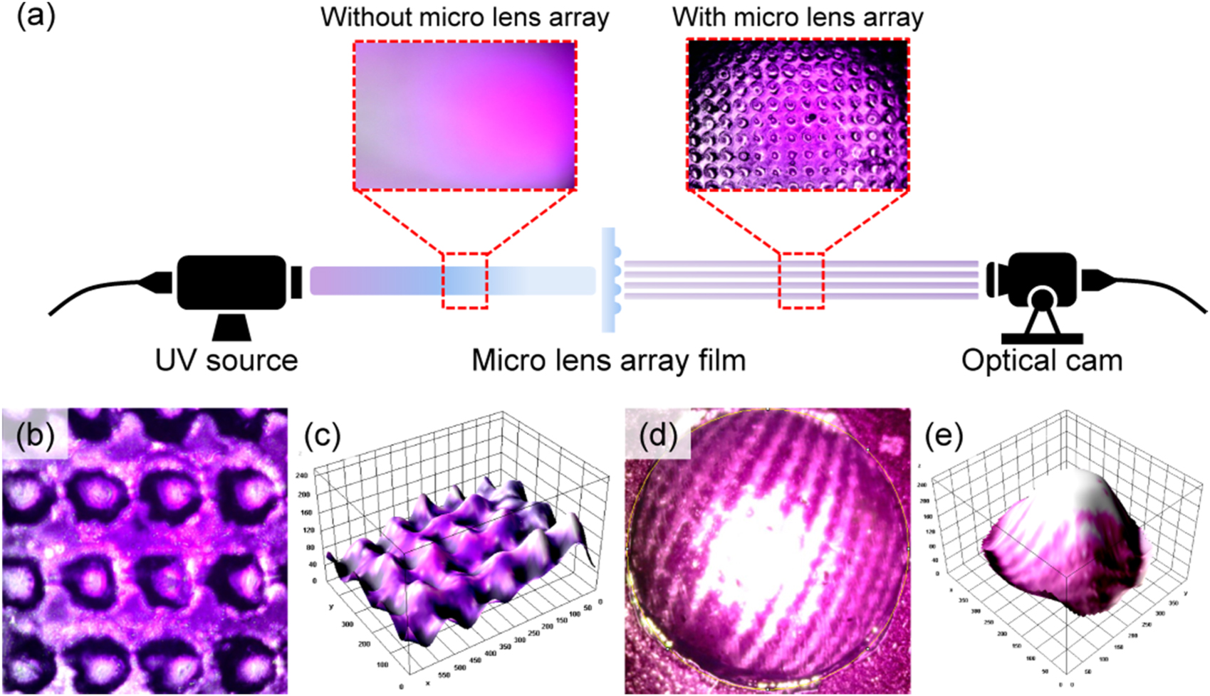 A biomimetic compound eye lens for photocurrent enhancement at low ...