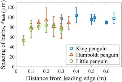 Fluid drag reduction by penguin-mimetic laser-ablated riblets with yaw ...