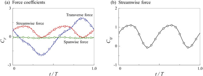 Hydrodynamic interaction of dorsal fin and caudal fin in swimming tuna ...